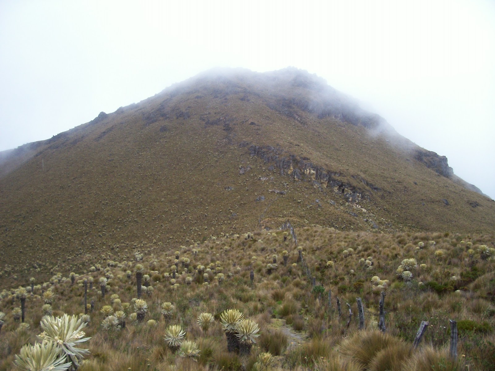 ATALAYA: UN VIAJE AL TECHO DE SANTA ROSA