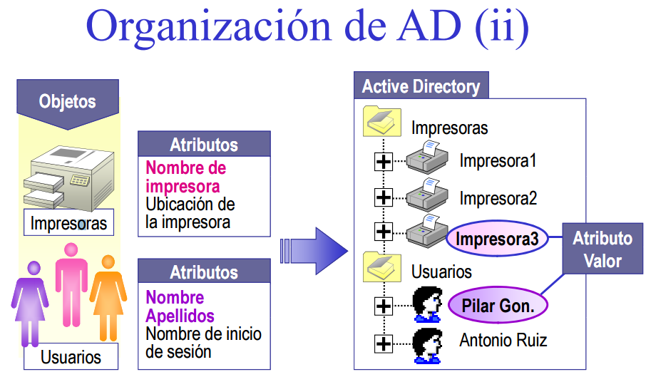 Tareas de Excel: ACTIVE DIRECTORY