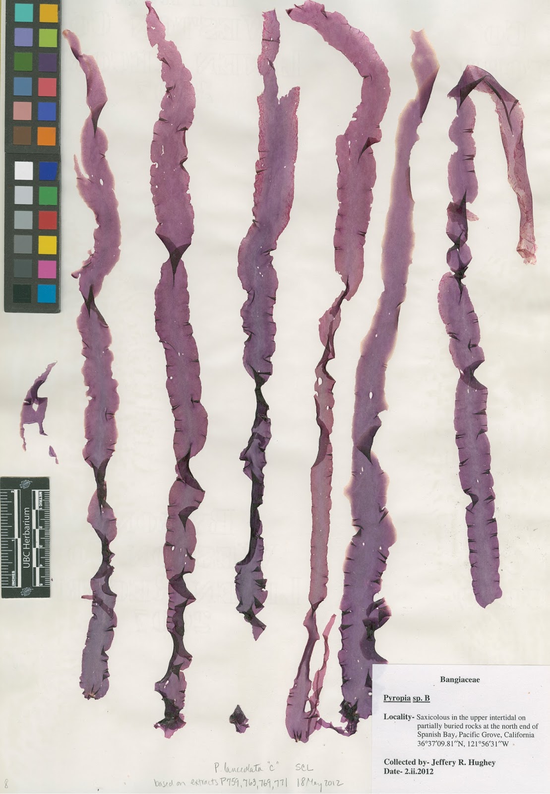 Biodiversity Science: Discoveries of the week #44