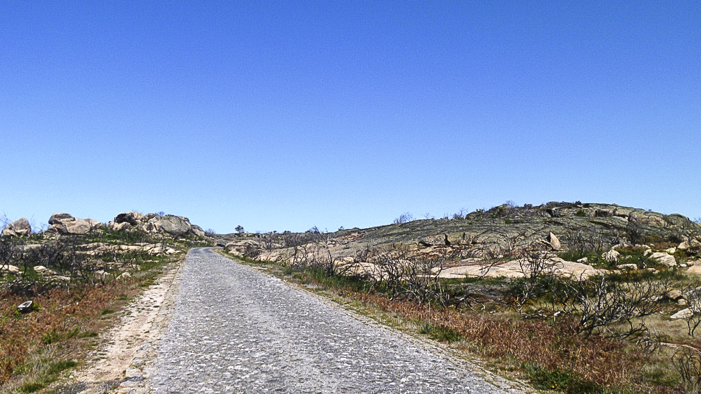 Blog de Viagens. Compartilhando Experiências. : São Martinho de Anta ...