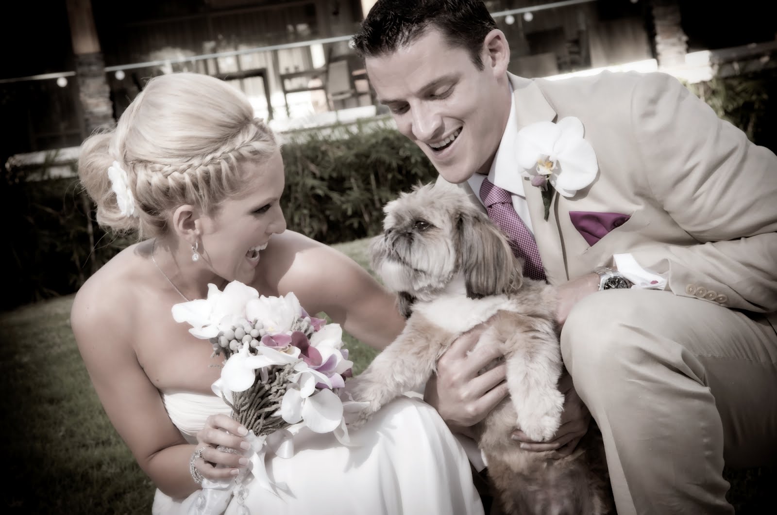 Momentus Special Events and More: Diane & Dan Litwer Wedding!