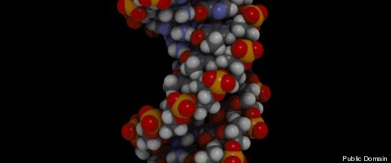 Gene Tonic: AXN o ADN sintético: ¿nuevas formas de vida?