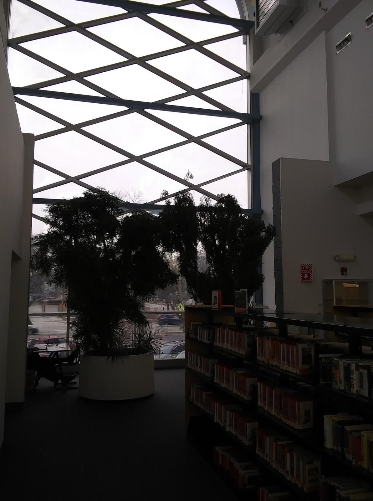 The Magic of Libraries: La Grange Park Public Library - part 2