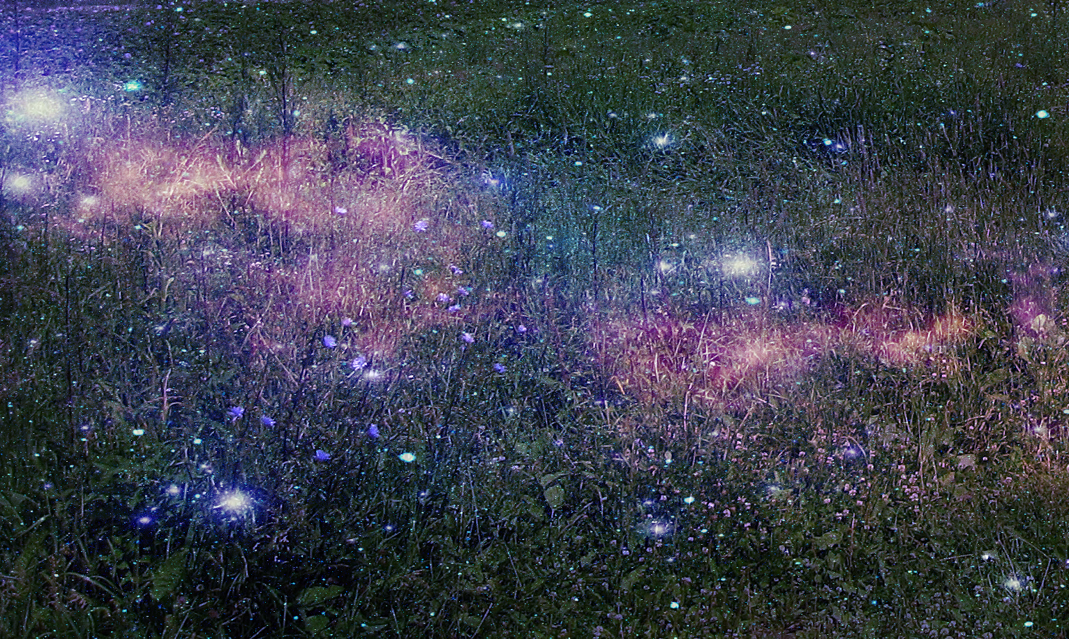 Allsparklesofnow: Space Heart Grass