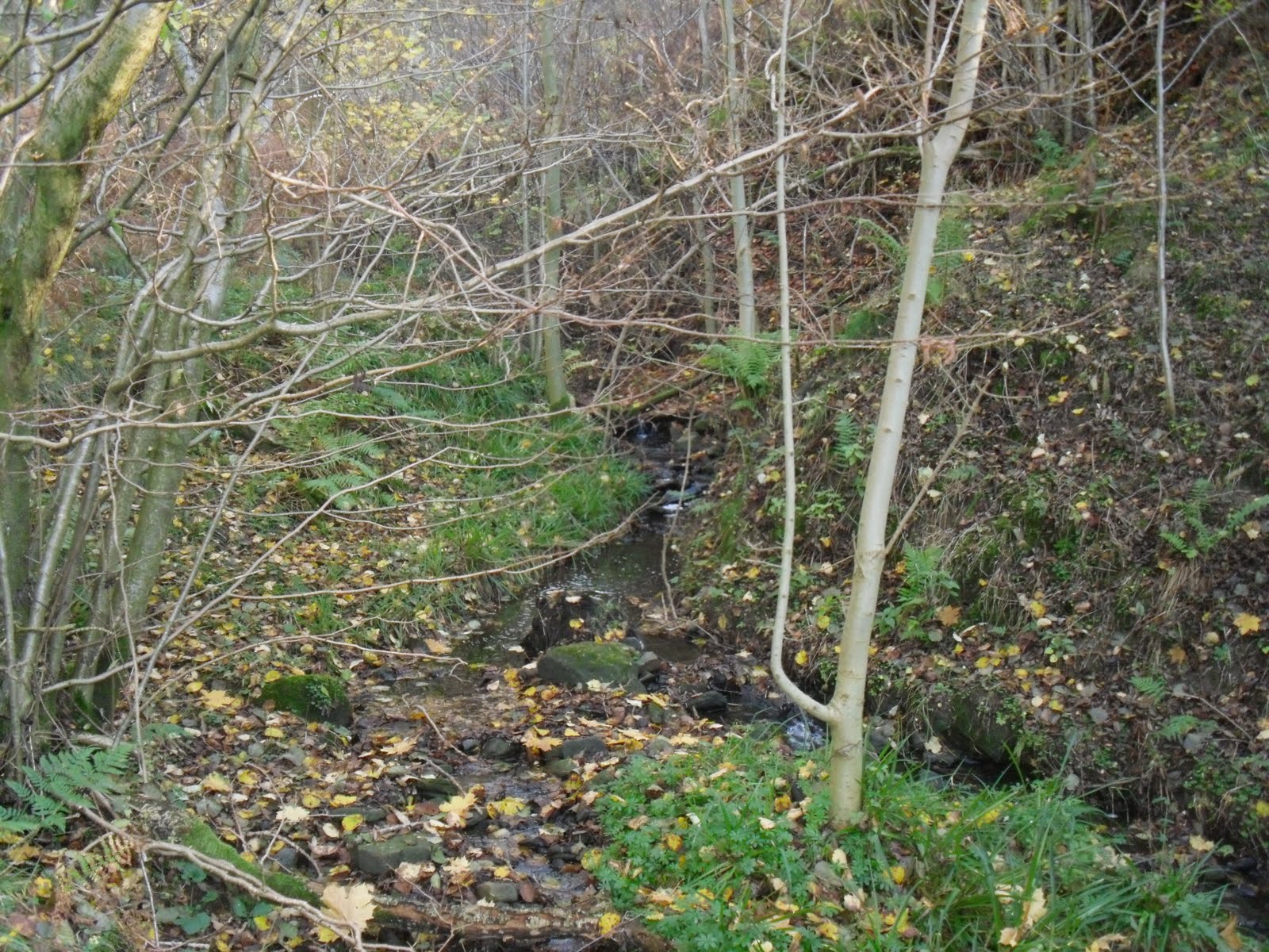 Rambling Nana: Wolsingham, Tunstall Reservoir Circular