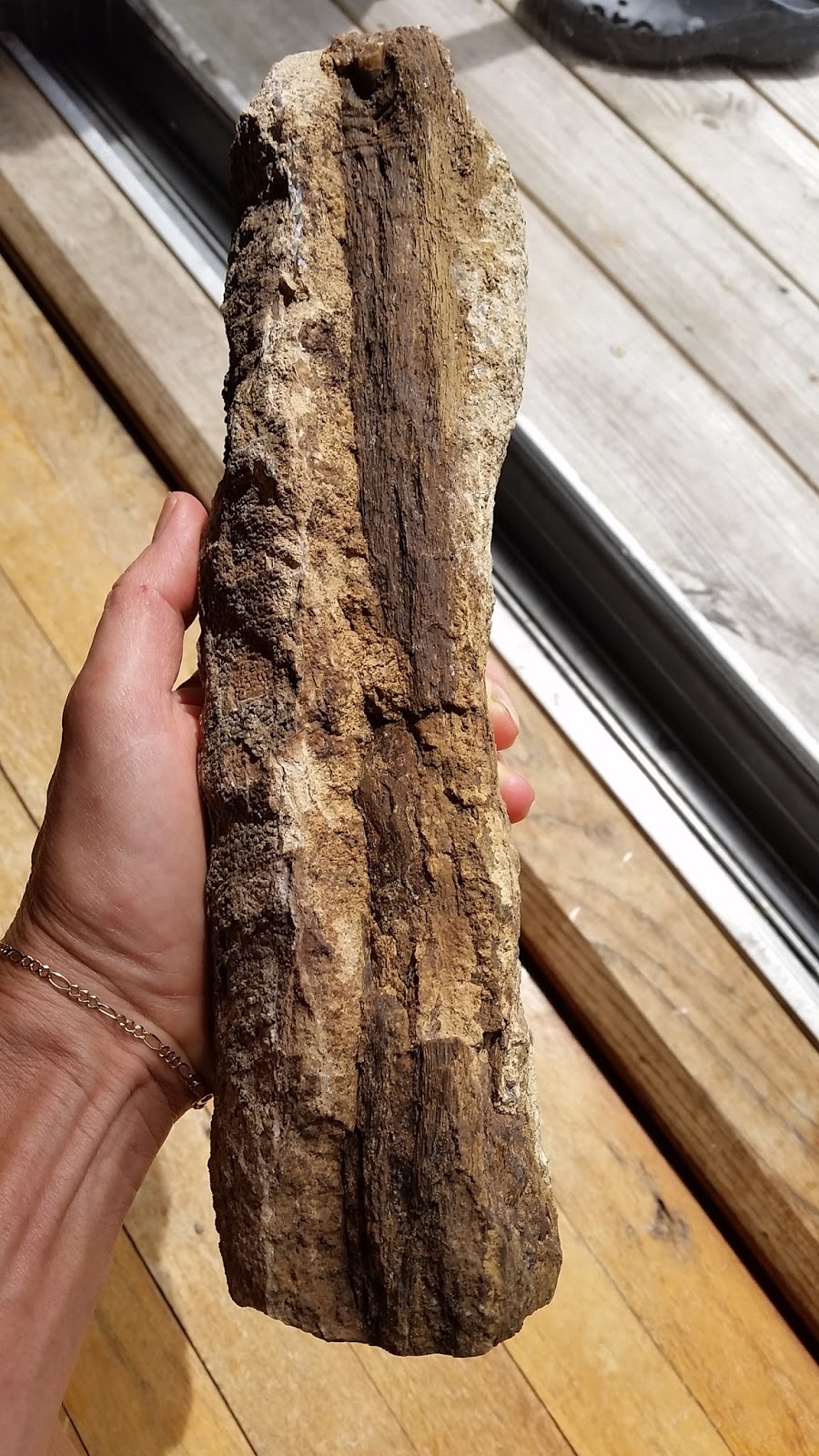 Zookeeper Fossils: October 2016