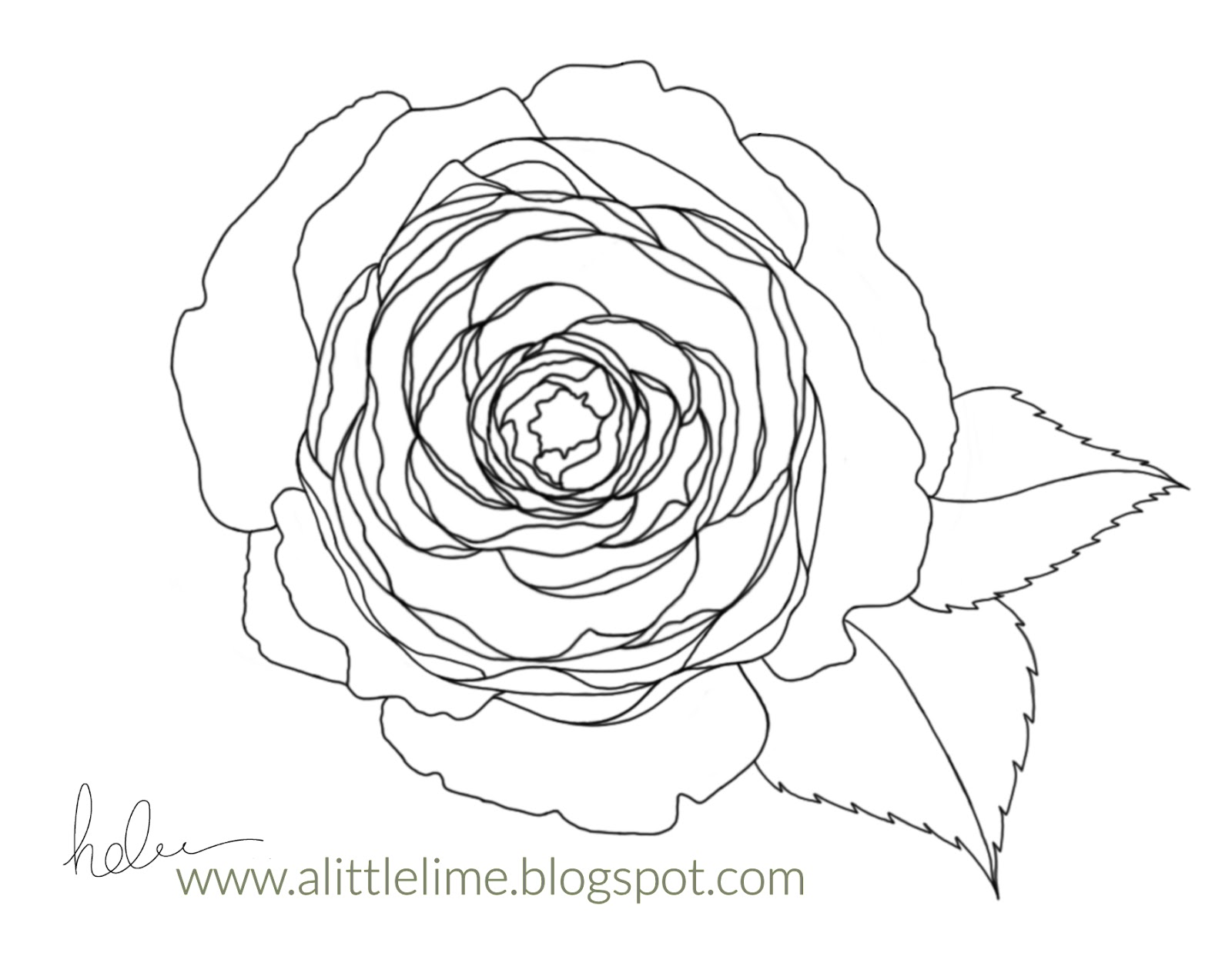 Wrapped Rose Tangle PATTERN and VIDEO