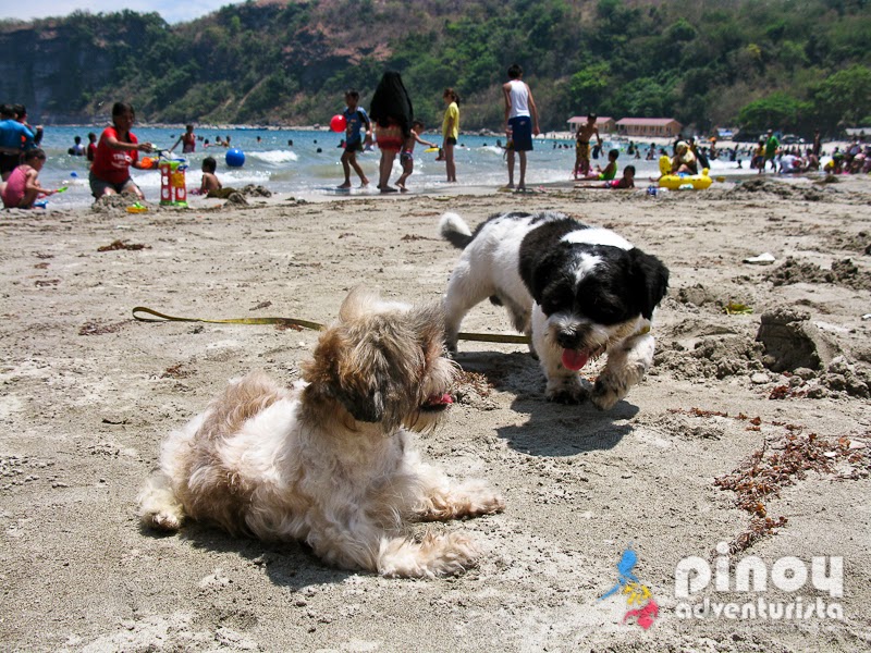 BORACAY DE CAVITE - Marine Base (Katungkulan) Beach Resort in Ternate ...