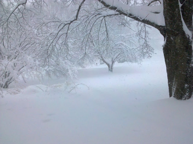 Four Seasons of My Soul: 12/01/2011 - 01/01/2012