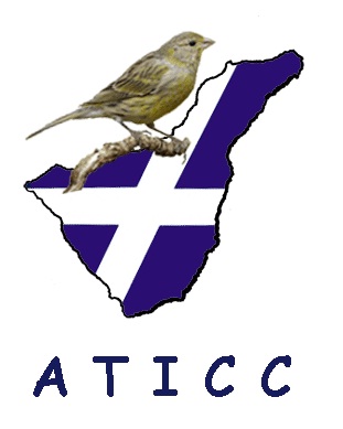 Peña Los 5: octubre 2011