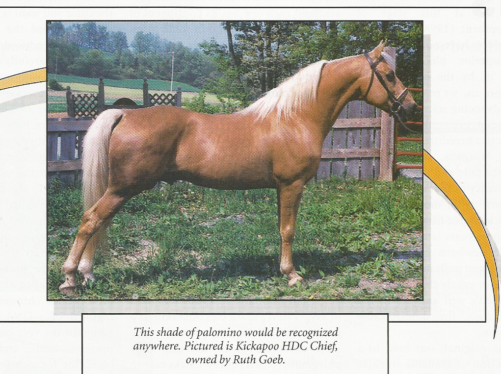 Old Morgans: Morgan Colors 5/98 TMH