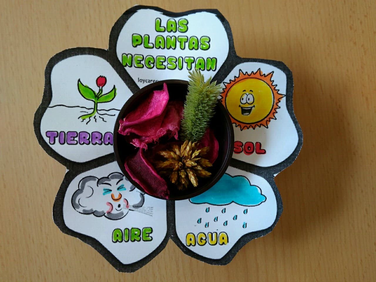 RECURSOS DE EDUCACIÓN INFANTIL: LAS PLANTAS NECESITAN...