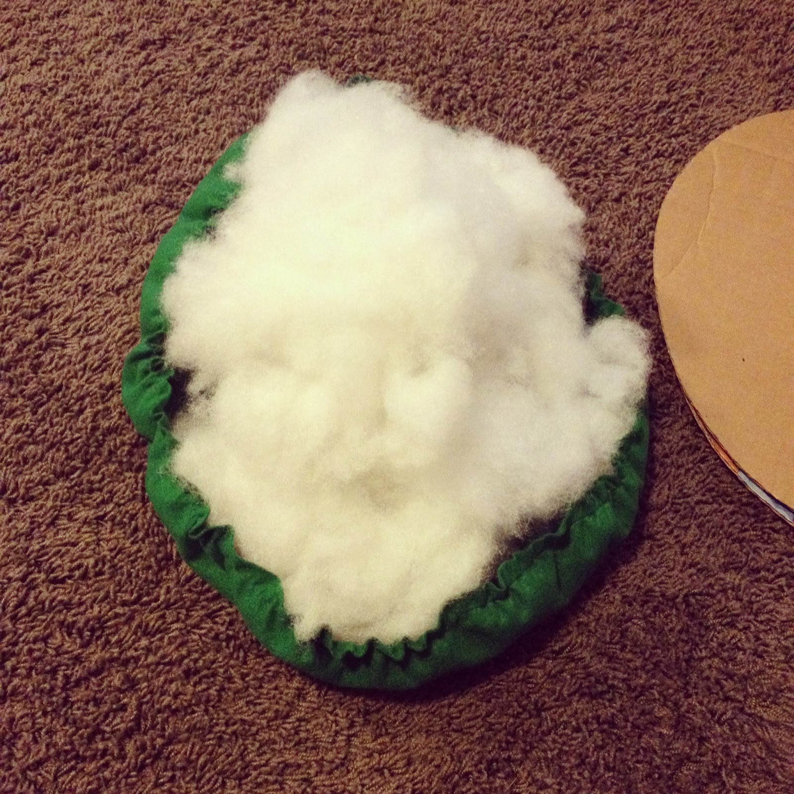 The Almost Perfectionist: Homemade Turtle Costume