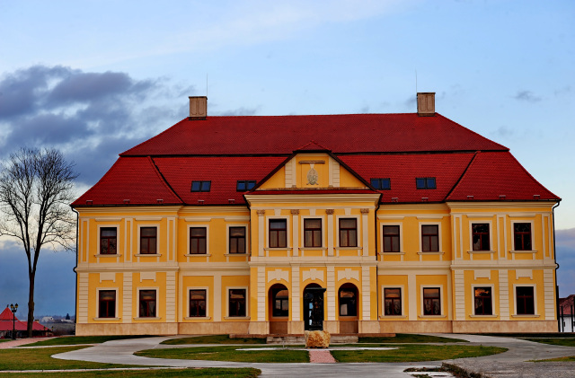 MONUMENTE ISTORICE DIN ROMANIA : Castelul Teleki din Satulung judetul ...