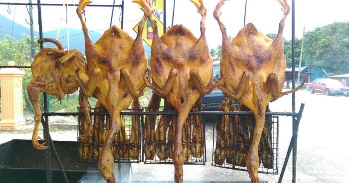 Manfaat Daging Angsa Pada Kesehatan Tubuh - Salam Mesin Kanan Vespa