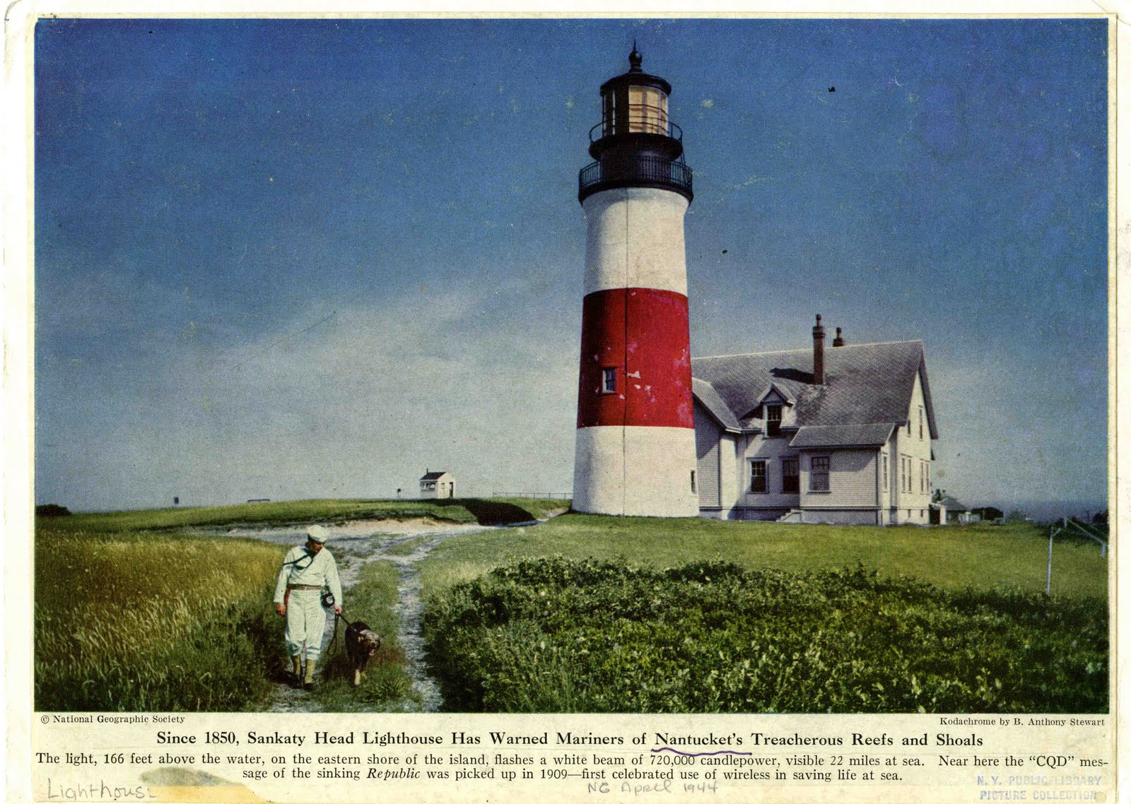 A is for Aye-Aye: An Abecedarian Adventure: A Looming Laplander Guards ...