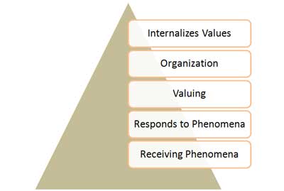 Bloom's Taxonomy of Learning Domains ~ Nursing Path