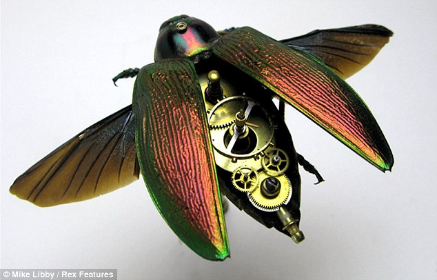 All sorts of bugs and ticks: The clockwork creepy crawlies you'll come ...