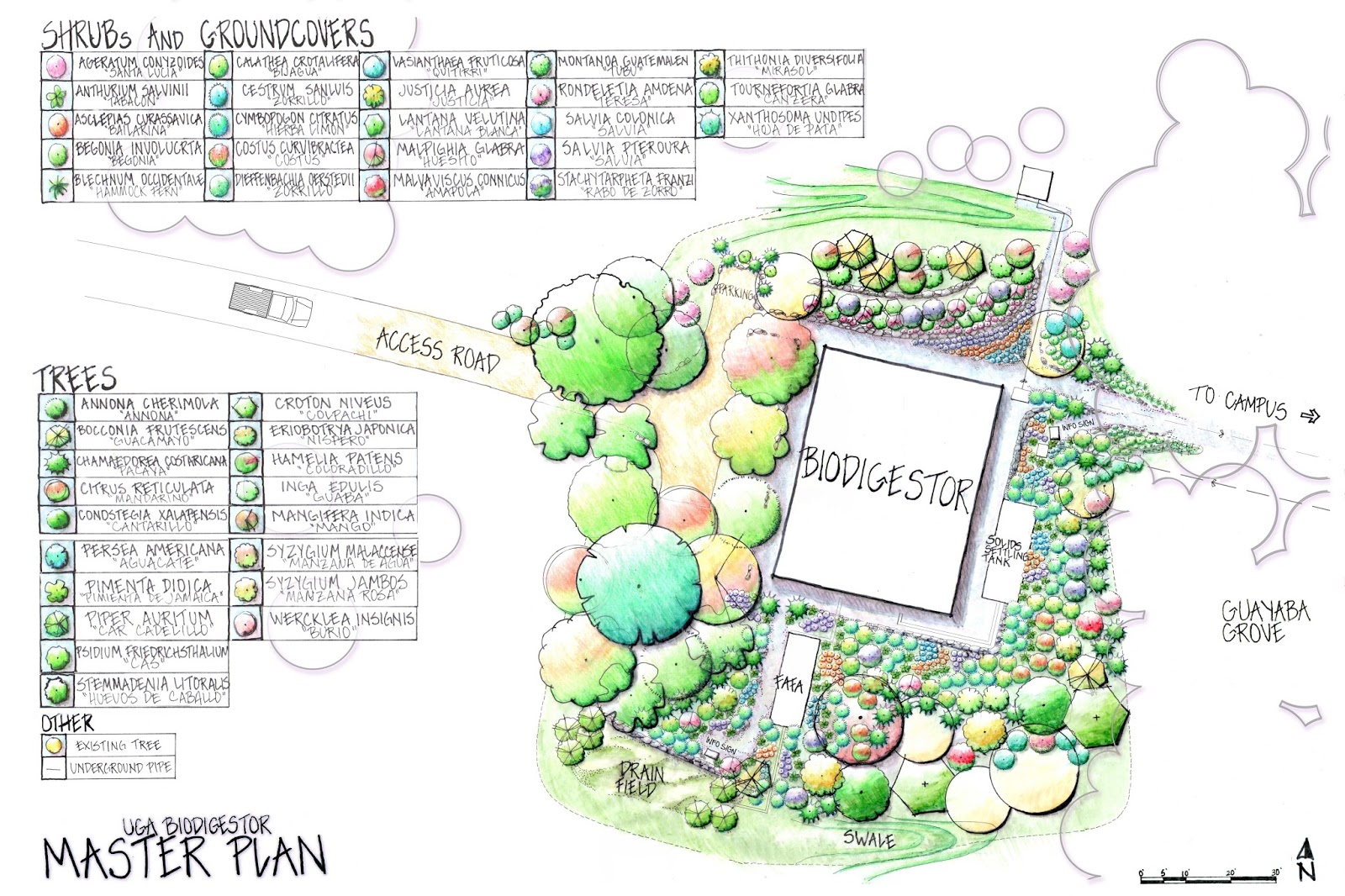 Pura Vida: Sara and Landscape Architecture in Costa Rica : Making the ...