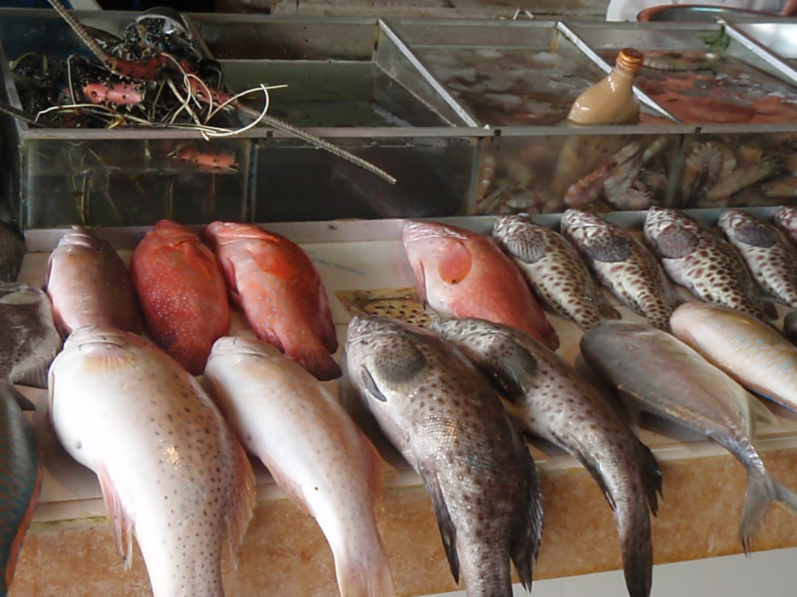 Cebu Lechon, Larsian,Sutukil, Golden Cowrie | Noelizm