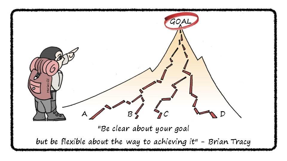 LEAN & SIX SIGMA & KAIZEN: Lean Cartoon: "Differents ways to achieve goals"