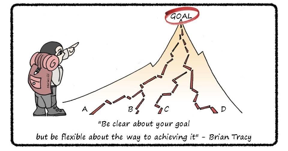LEAN & SIX SIGMA & KAIZEN: Lean Cartoon: "Differents ways to achieve goals"