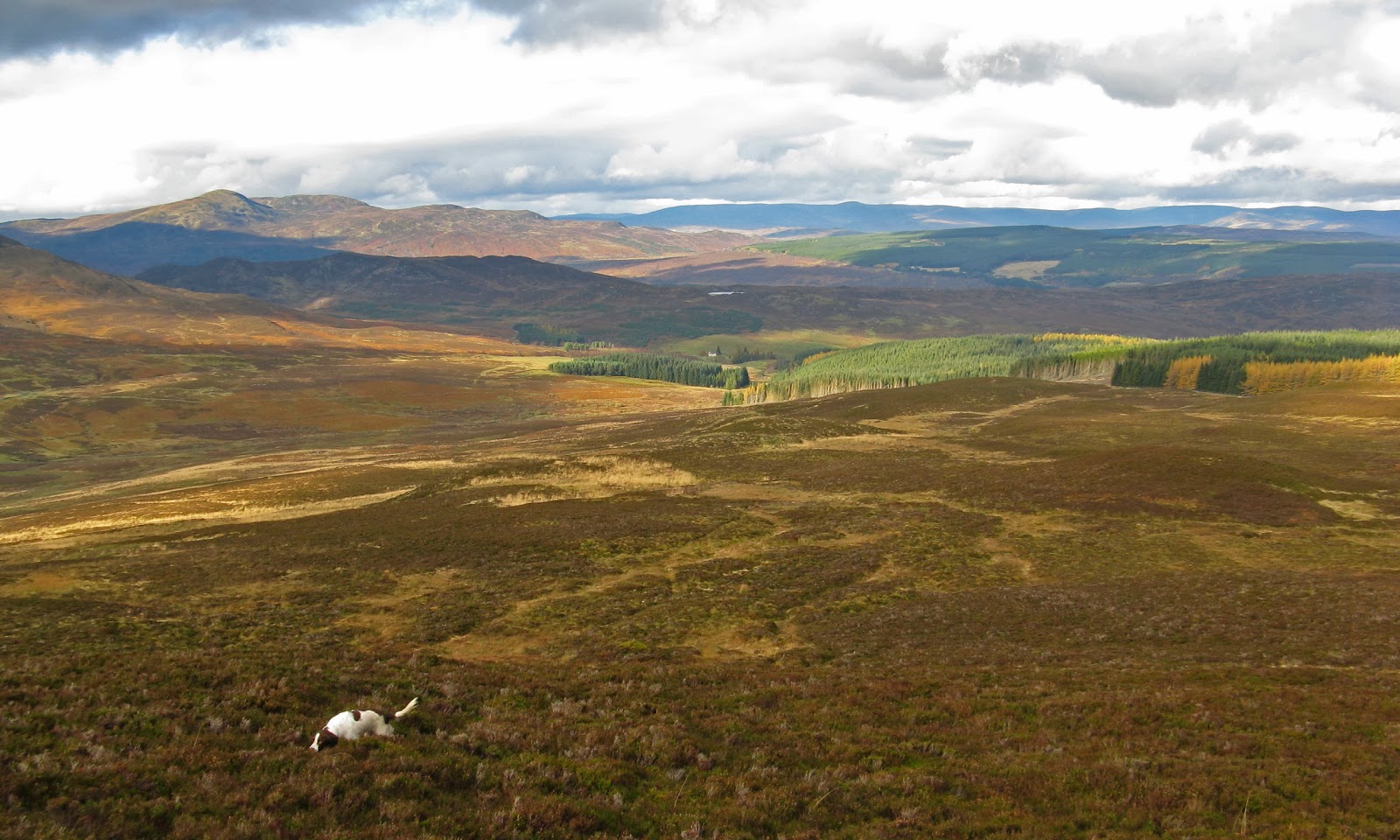 Neil's Hillwalking Exploits: October 2011