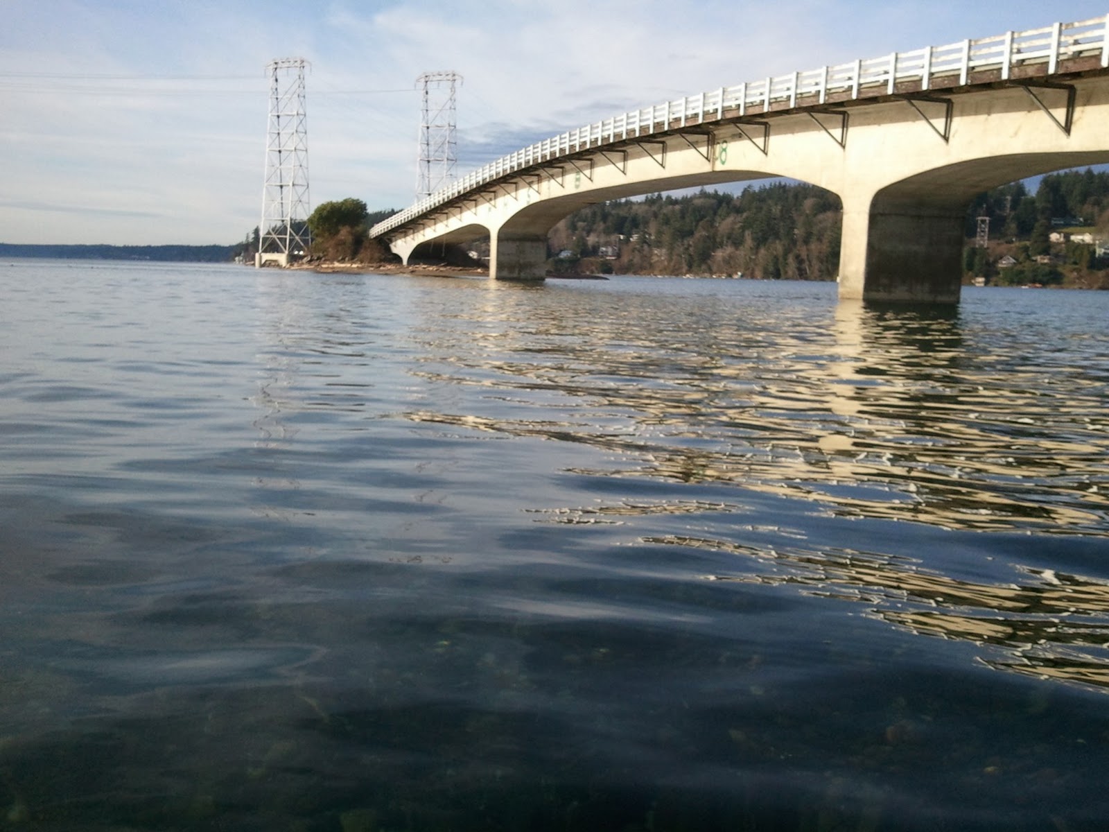 Fly Rod Nimrod: January 2012