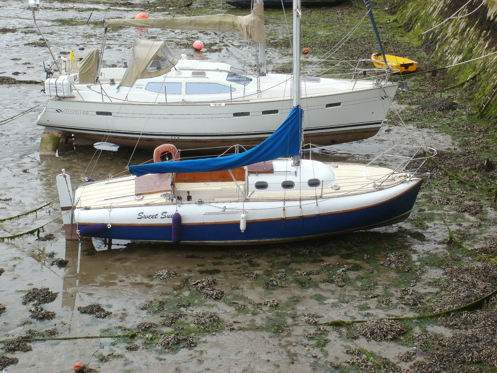Shockwave40: Sweet Sue - Atlanta 26 - Uffa Fox design - Guernsey 2013