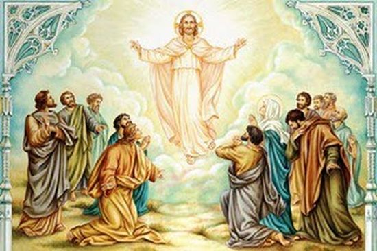 Adora al Santísimo en Cardel: Fuentes de Revelación Divina: La Biblia y ... Adora al Santísimo en Cardel: Fuentes de Revelación Divina: La Biblia y ...