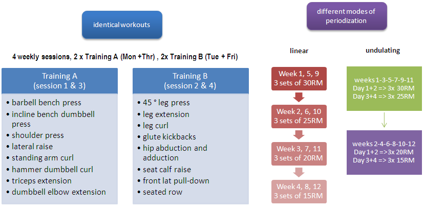 Want to Cut 12% Body Fat in 12 Weeks, Get Stronger, Bigger or Better ...