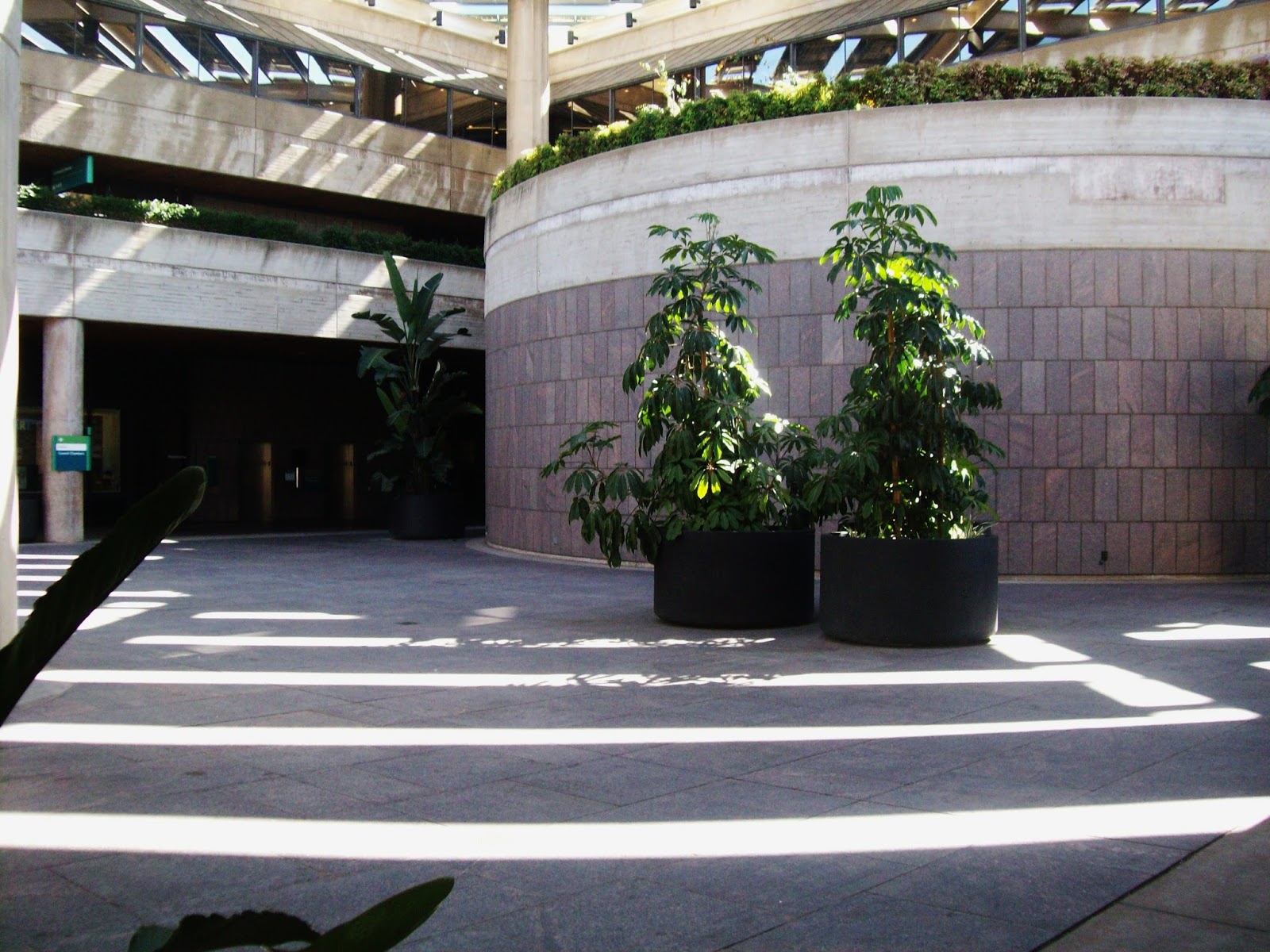 Flight of the Red Dragonfly: Brea Has a Library? Directions and Parking