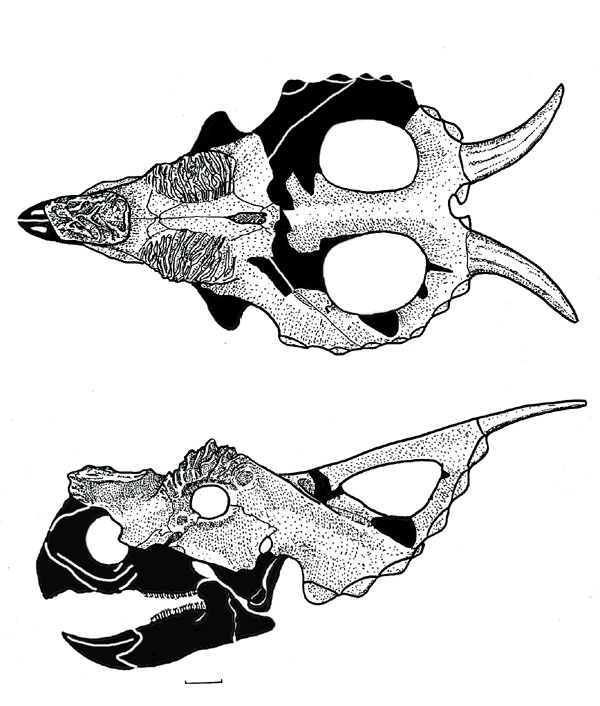 Escenarios prehistóricos: Achelousaurus
