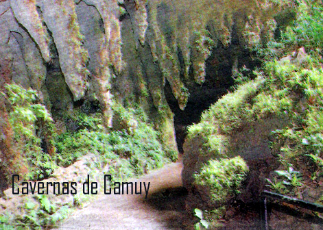 Cuevas de Camuy: CUEVAS DE CAMUY
