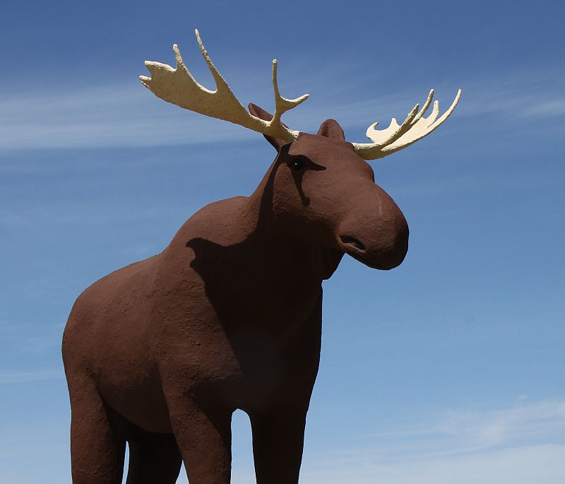 "Out & About" Photo Blog: Moose Jaw # 1 of 3