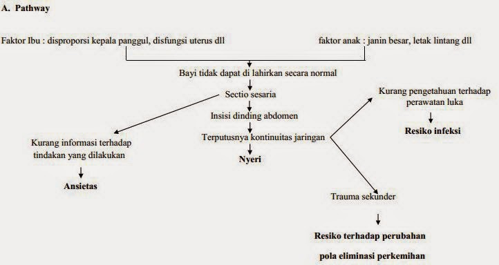 Patofisiologi " pahtway sesar " | Blog Kesehatan