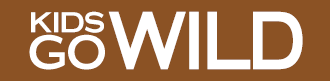 GO OUTSIDE AND GO WILD! - Dr. Jean & Friends Blog