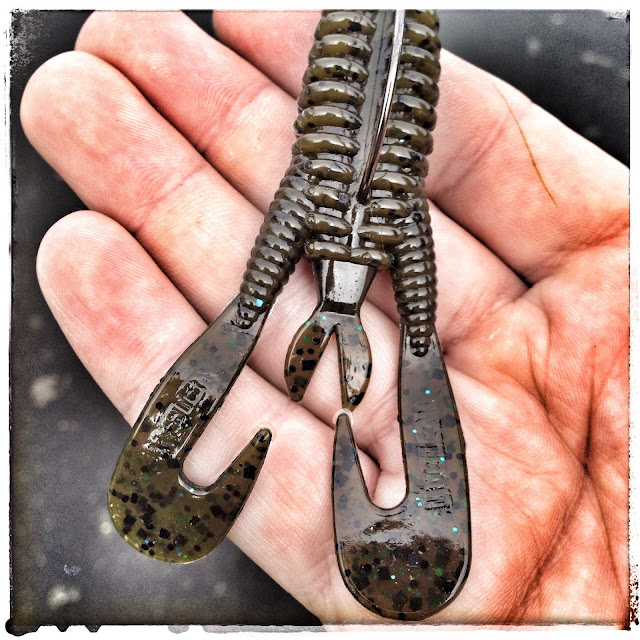 Bass Junkies Frog Pond: NetBait Kickin B Review