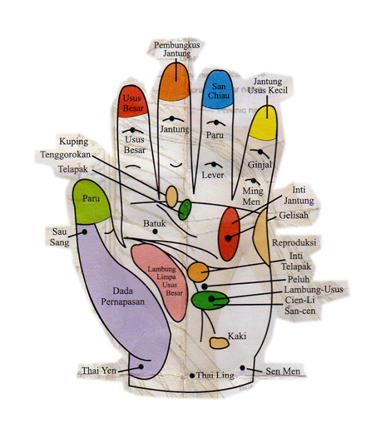 PIJAT CIMAHI: 10 Menit Menuju Sehat dengan Terapi Refleksi Telapak Tangan