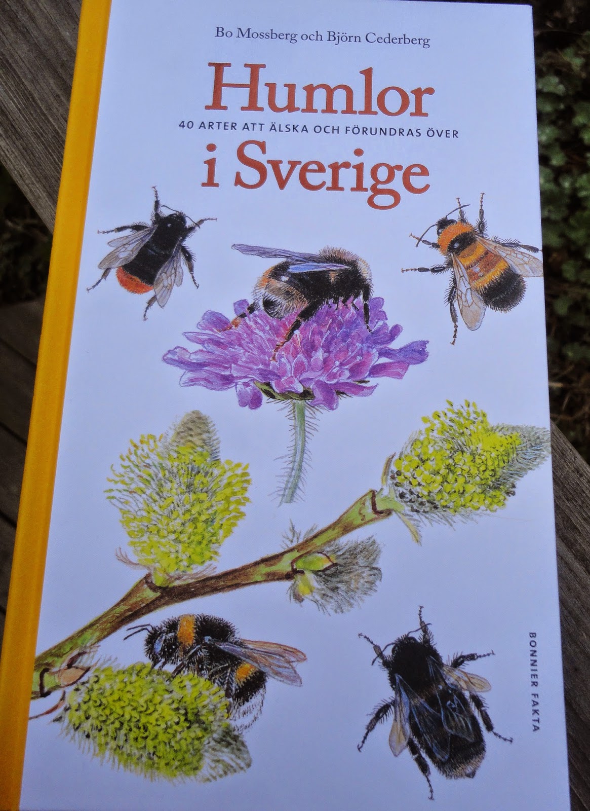 Görel Kristina Näslund: Humlor i Sverige