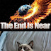 Picz I Like: Grumpy Cat Gun Control Meme