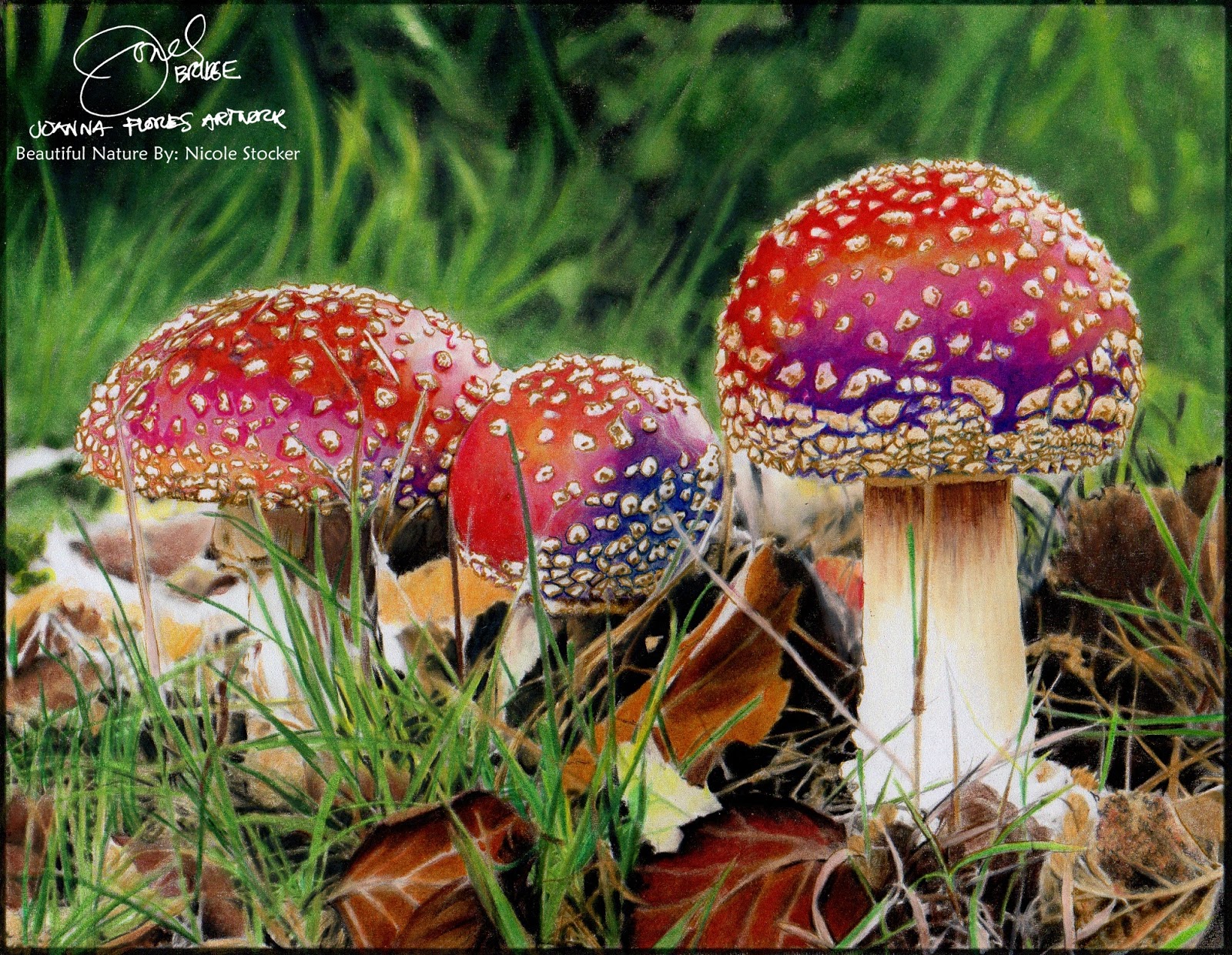 Jones Flores Art - Coloring Techniques and Tips