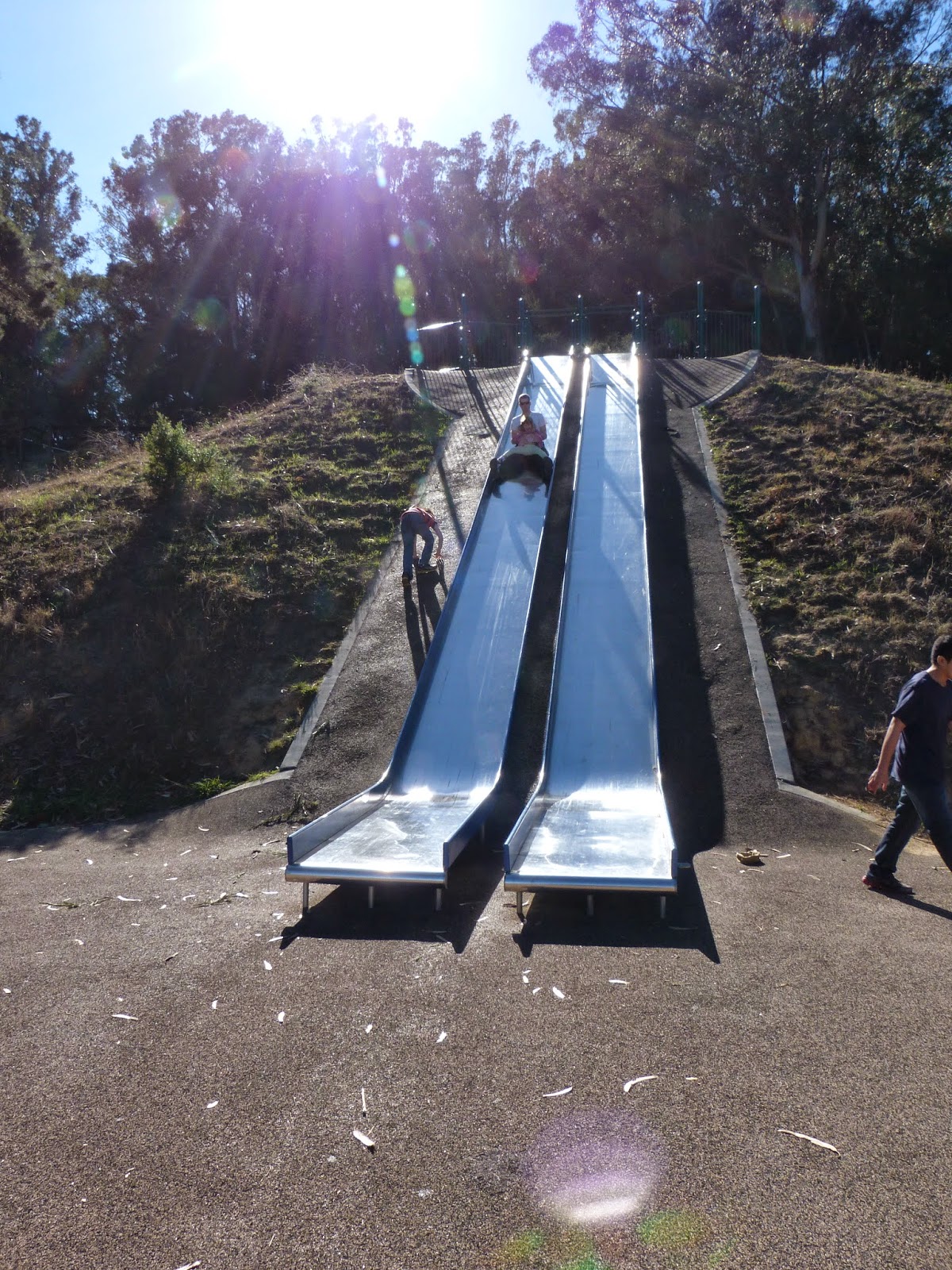 HILL BABIES: Upcoming Group Hike for May 2014: Junipero Serra Park