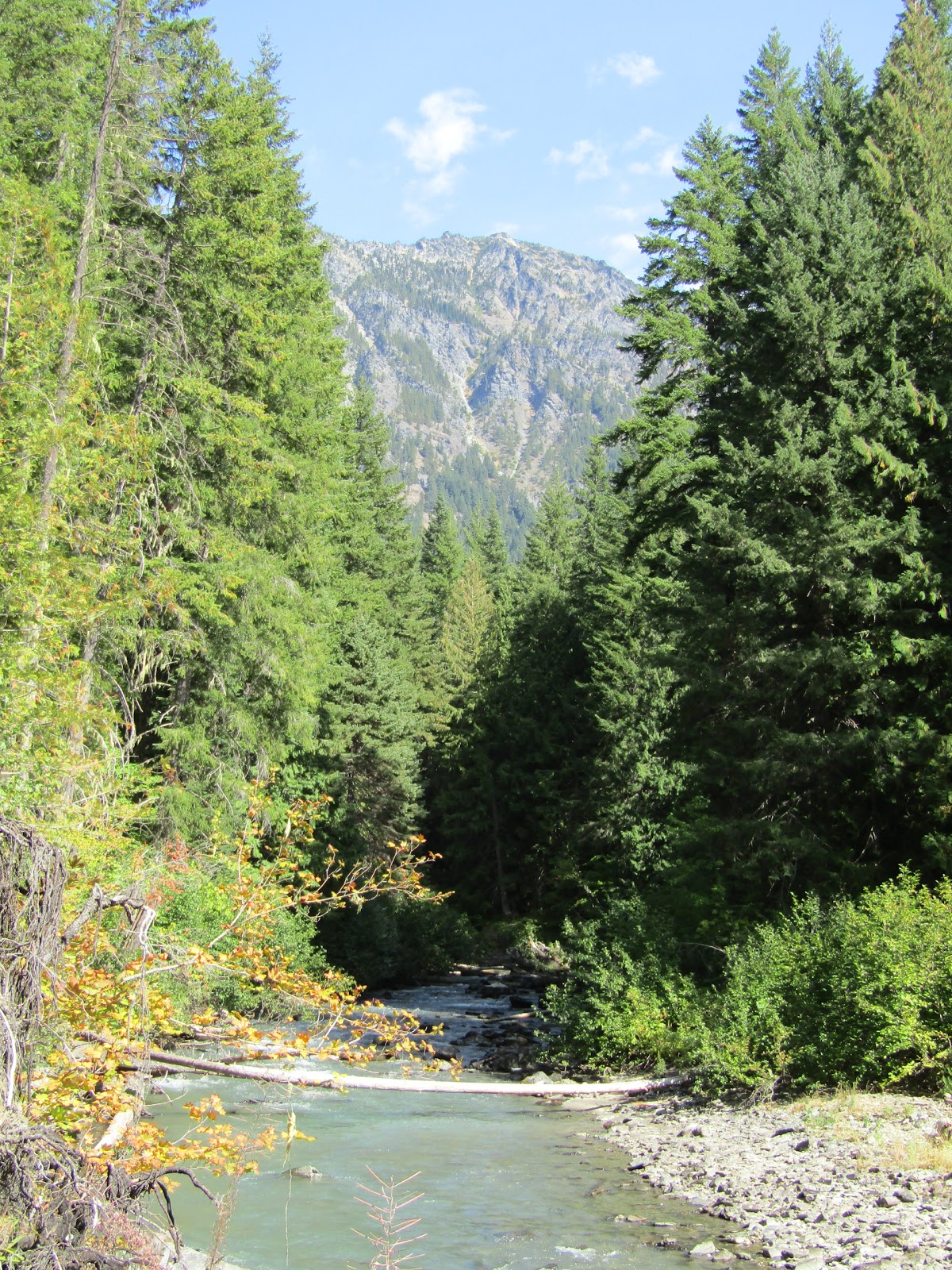 Dennis the Eremite: Christ - A Place for All People