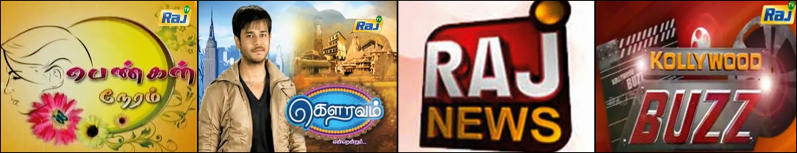 MARKETING STRATEGIES OF RAJ TELEVISION NETWORK LTD