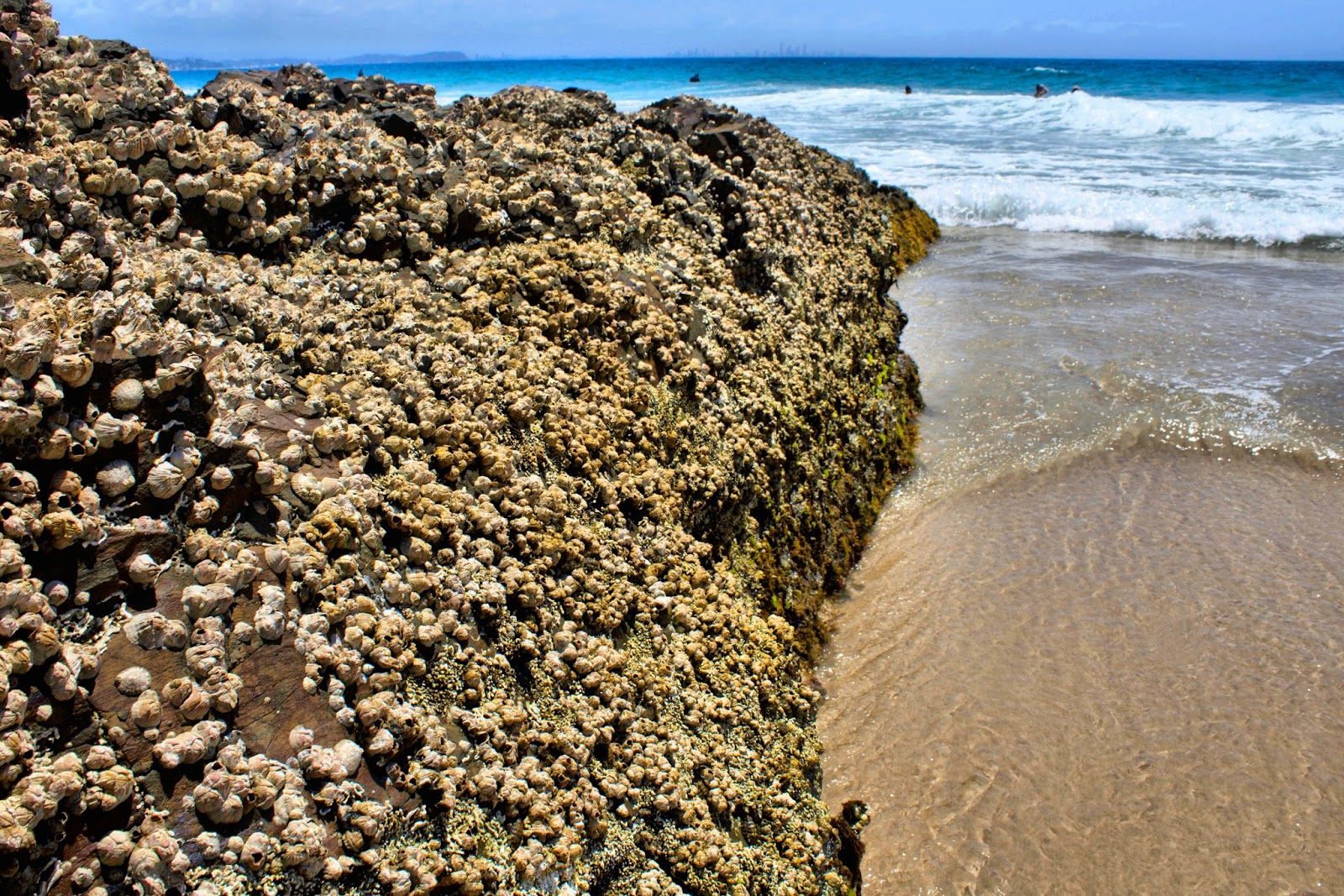 PhotosbyCris : Snapper Rocks - What to wear
