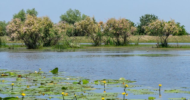 Dziedzictwo UNESCO: Delta Dunaju. Rumunia 1991
