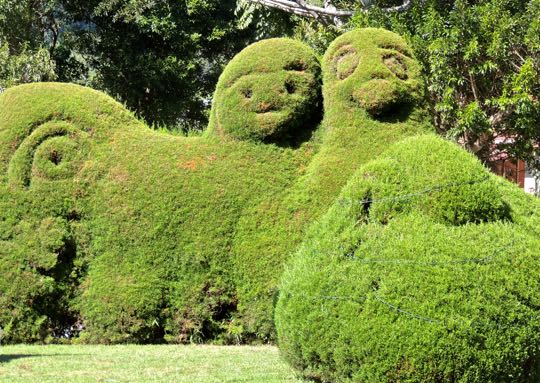 Jim & Carole's Mexico Adventure: Costa Rica Part 5: Zarcero's topiary ...