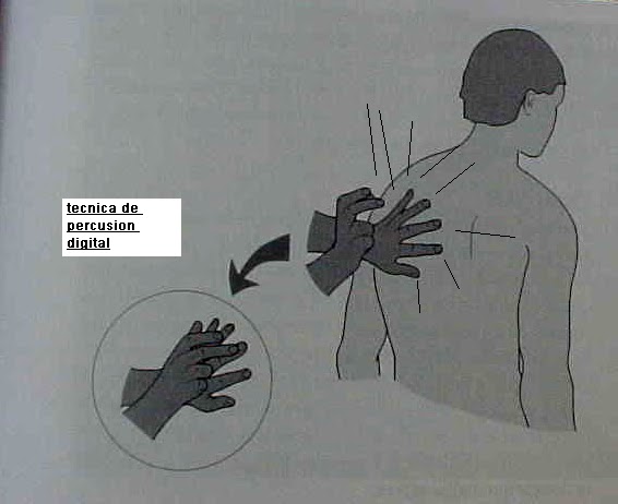 Ilustración Semiologica : Examen de Tórax
