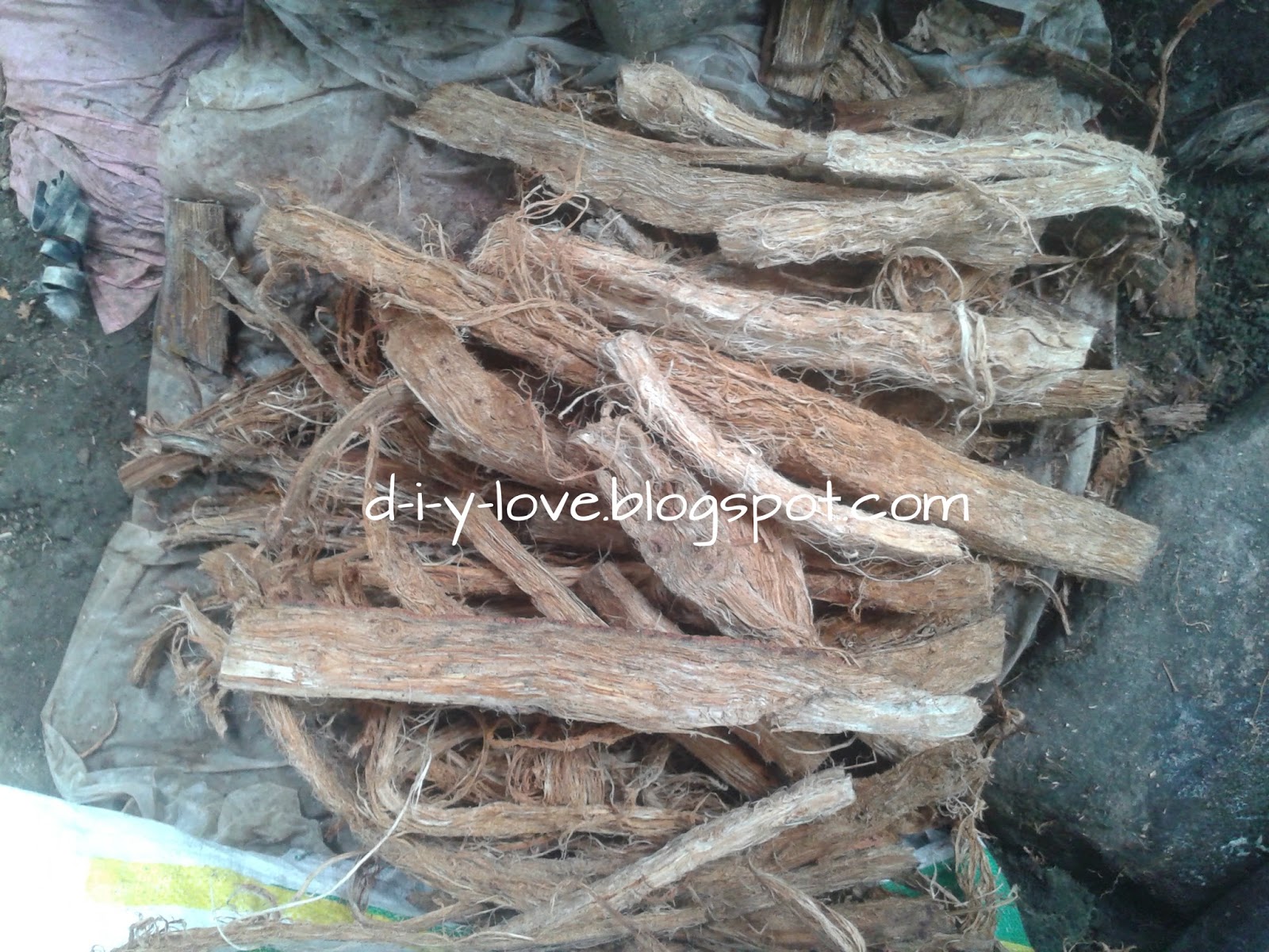 DIY Love: The Origin of Gugo